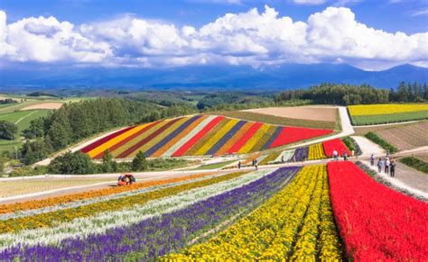 홋카이도 여행 절경 명소 7군데 風景 美しい風景 美しい写真