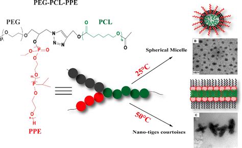 Figure 19 From Recent Advances In Nanoparticle Development For Drug Delivery A Comprehensive