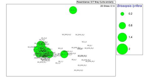 Mds Plot With Sample Labels And Brissopsis Lyrifera Abundance Fourth
