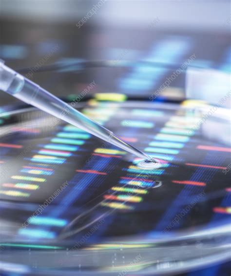 Genomics Research Conceptual Image Stock Image F Science Photo Library
