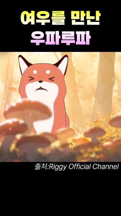 여우를 만난 우파루파 Youtube