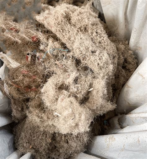 Commercial Lint Trap Cleaning Services Get Maintenance Now