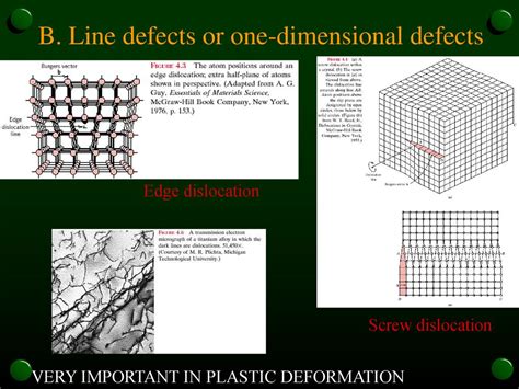 description and importance ppt download