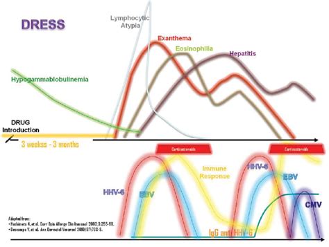 Dress Drug Reaction With Eosinophilia And Systemic Symptoms