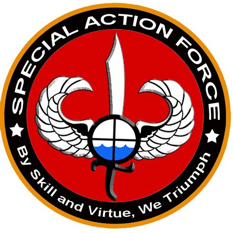 Special Action Force