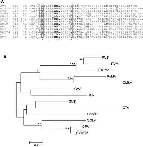 A Sequence Alignment Of The Protein Regions With Conserved Download Scientific Diagram