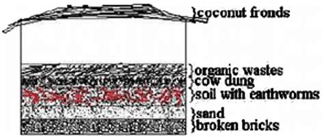 Process Of Vermicomposting Ansari 2012 Download Scientific Diagram