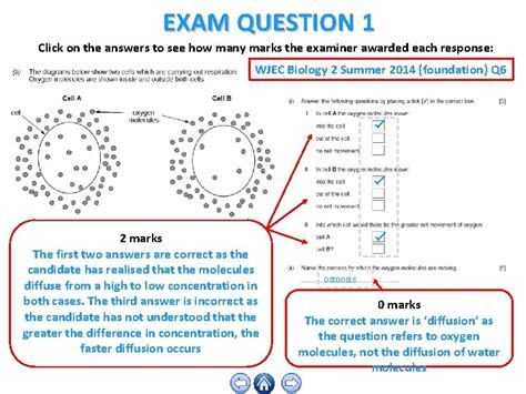 Diffusion Osmosis Active Transport Buttons Click Here Clicking