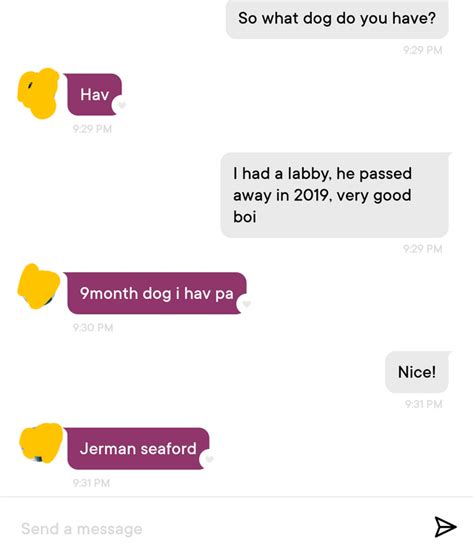 Vida Versa R Boneappletypo