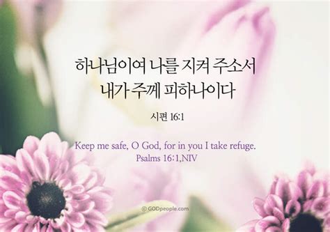 시편 편 개역개정 NIV 성경읽기 듣기