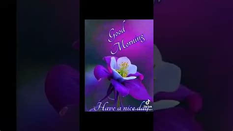 සිනා මල් ගොඩක් Youtube