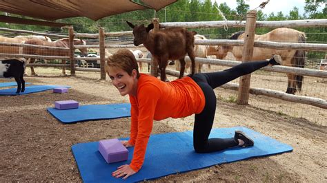 Lisa Stack Stack Financial Management