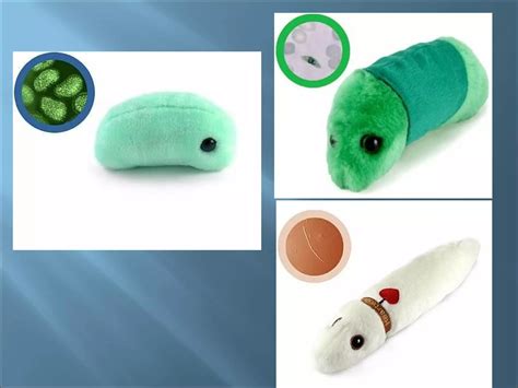 Cute Viruses And Bacteria Part Duex Ppt