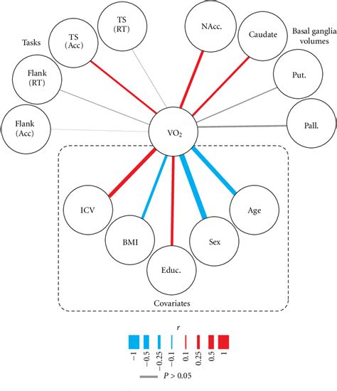 Figure 2 From Caudate Nucleus Volume Mediates The Link Between Cardiorespiratory Fitness And