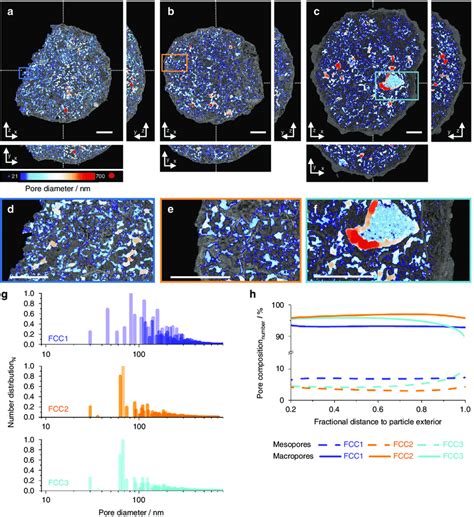 Pore Network And Pore Size Distribution Analysis Calculated Thickness Download Scientific