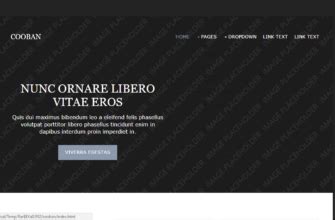 HTML и CSS шаблоны РАЗНЫХ сайтов Страница из