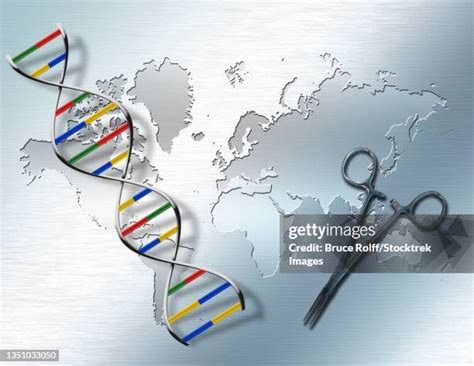 Stem Cell Pattern Photos And Premium High Res Pictures Getty Images