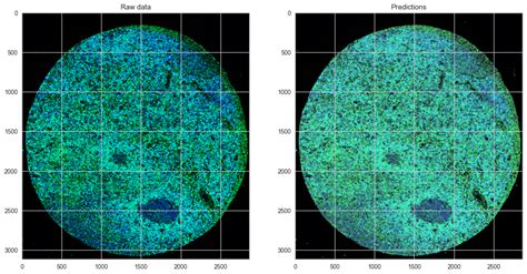 spacec cell segmentation — spacec 0 0 post1 dev221 g0f90faa documentation