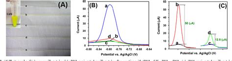 Polyacrylamide Hydrogels Semantic Scholar