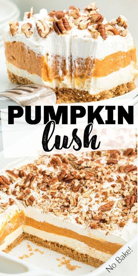 Pumpkin Delight Graham Cracker Crust Pumpkin Spice Cool Whip Yum Artofit
