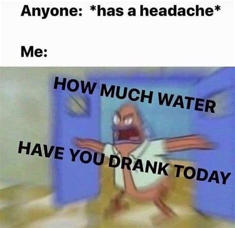 15 Pro Hydration Memes To Remind You To Drink Water Know Your Meme