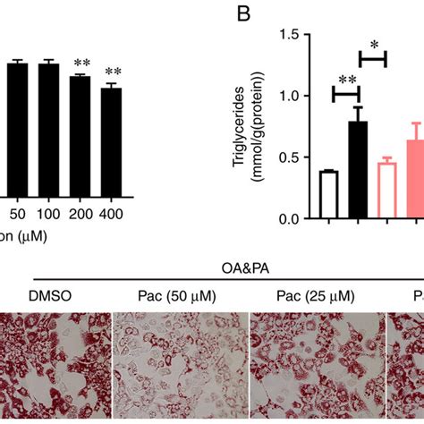 Hi C Interaction Heatmap Of All Bins And Chromosome Assembly A Hi C Download Scientific