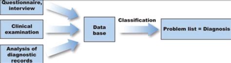 Classification Of Orthodontic Conditions Flashcards Quizlet