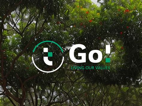 Teoresi Go When Values Turn Into Actions Teoresi Group