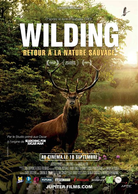 Wilding Retour à La Nature Sauvage Film 2025 Cinéhorizons