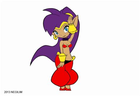 Negilim Shantae Shantae Half Genie Hero Shantae Series Animated