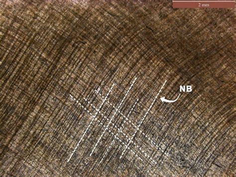 Fig S Uniform Development Of Closely Spaced Conjugate Narrow Bands