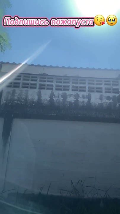 🌴 Привет друзья 🌞 Мы с семьей ездили на море и это было просто СУПЕР 🐠 Пляж солнце вау