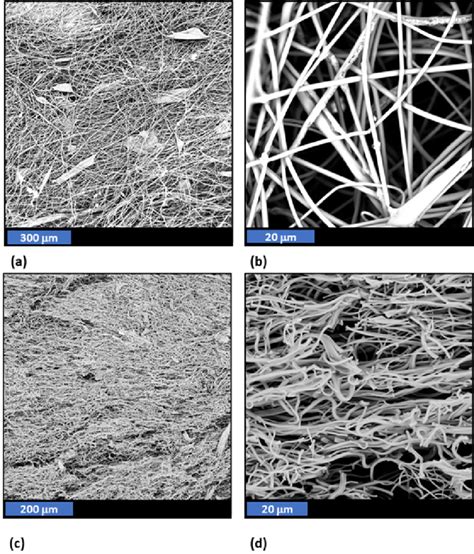 Scanning Electron Micrographs Of Crosslinked Force Spun Fibers