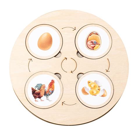 Life Cycle Deduction Board