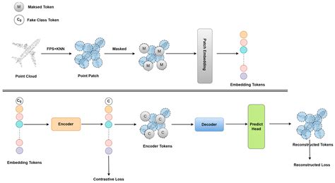 Pointur Rl Unified Self Supervised Learning Method Based On Variable Masked Autoencoder For