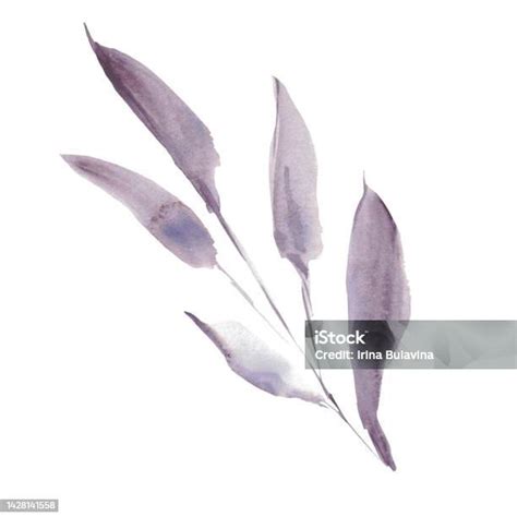 나무 잎 수채화 자주색 잎 흰색 배경에 설정된 요소입니다 0명에 대한 스톡 벡터 아트 및 기타 이미지 0명 가을 단풍 개체 그룹 Istock