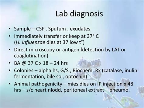 Streptococcus Pptx Chemistry Science