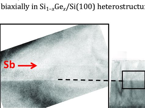 18 A Schema Of The Complete Structures Fabricated For The Segregation Download Scientific