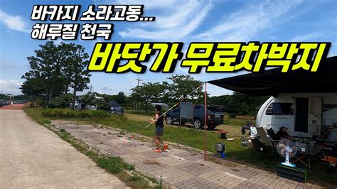 서해안 바닷가무료 차박지 바카지등 해루질 천국 Youtube