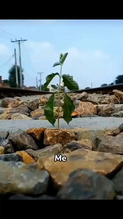 Rajith K Posted On Linkedin