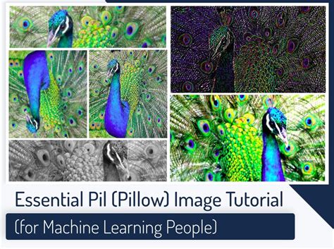 Python Image Library Pillow Softscients