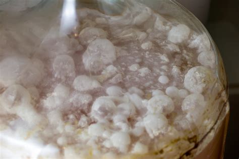 Is My Beer Infected Is My Beer Infected