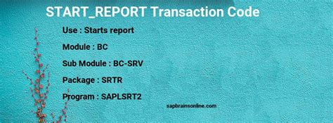 Start Report Sap Tcode For Starts Report