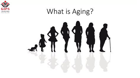 Psychological And Social Factors Affecting Aging Woman Pptx
