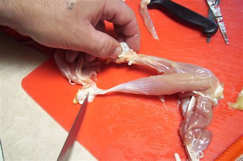 Debbie S Blog LAB CHICKEN LEG DISSECTION