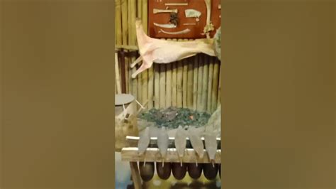 Wax Museum Mysoru Youtube