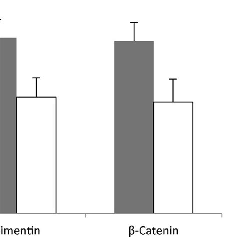 The Mean Of The Vim And Bcat Scores At 3m Post Biopsy The Scores Of