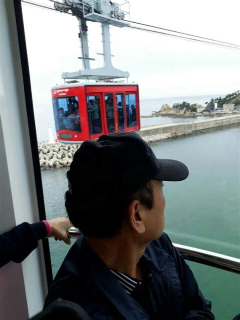 삼척 장호항 해상 케이블카 본격 운행에 관광객들 북적 파이낸셜뉴스