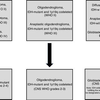 Paediatric Type Diffuse High Grade Gliomas Diffuse Hemispheric Glioma Download Scientific
