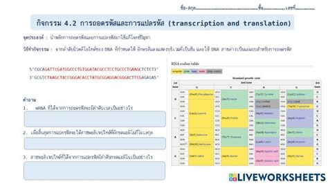การถอดรหัสและการแปลรหัส Worksheet Live Worksheets